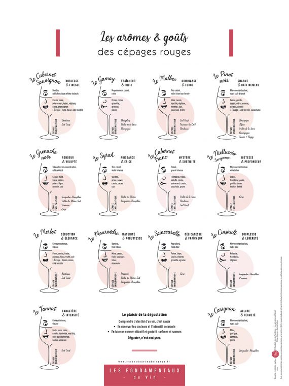 Arômes et Goûts des Cépages Rouges 30×40